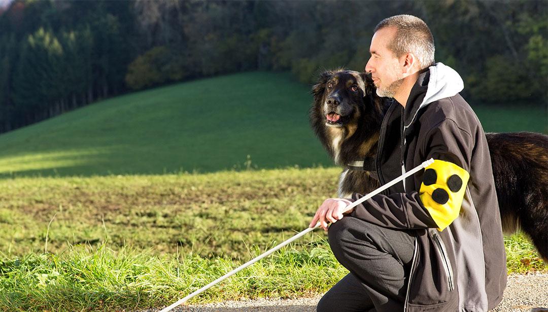 Wie Hunde mit Menschen arbeiten und was sie dabei leisten – Reader's Digest
